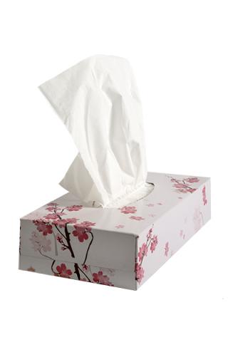 Hygienic paper | hYGeX